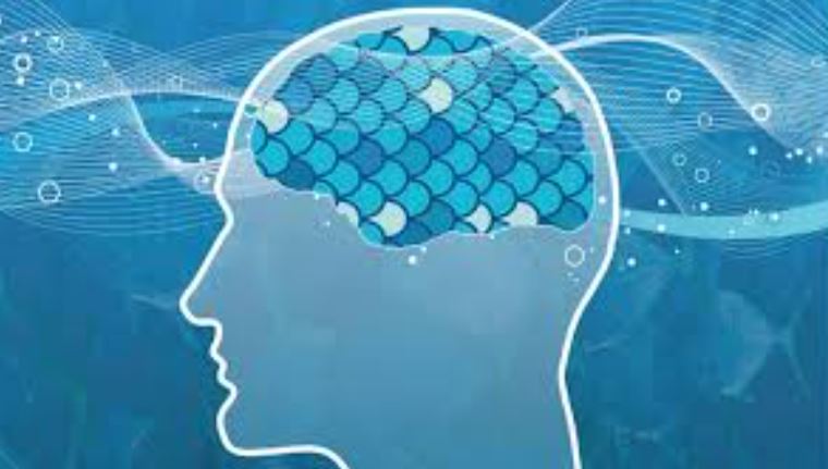 Blue Mind: Your Brain on Water