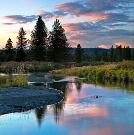 Most Important Tip for Protecting Your Waterfront Investment ...