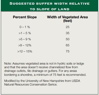 The Benefits of Creating a Buffer Zone on Your Lake Shoreline