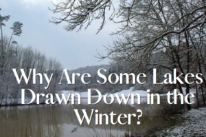 Why Drawdown a Lake? - Lakefront Living International, LLC
