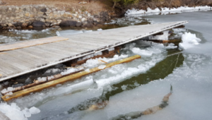 Why Drawdown a Lake? - Lakefront Living International, LLC