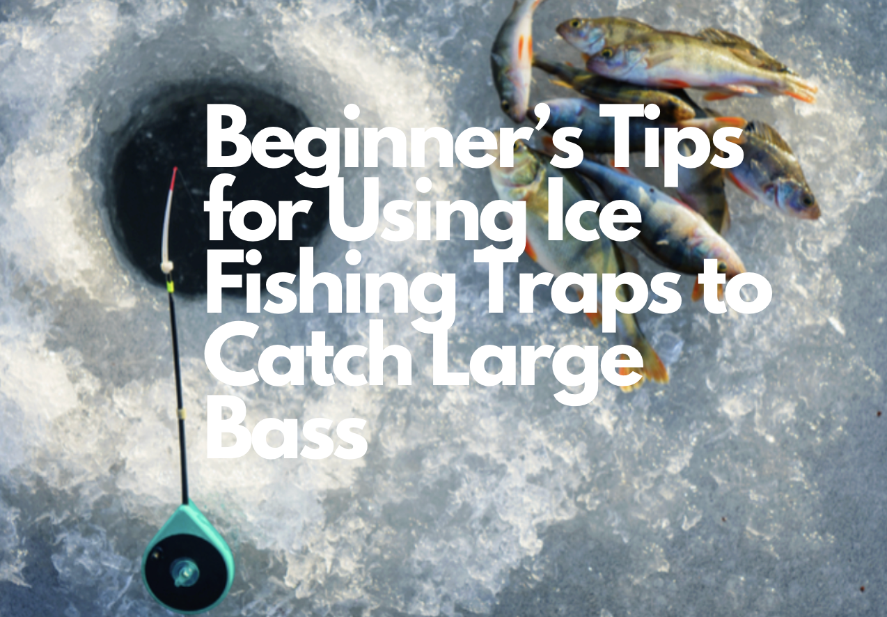 Beginner’s Tips for Using Ice Fishing Traps to Catch Large Bass ...