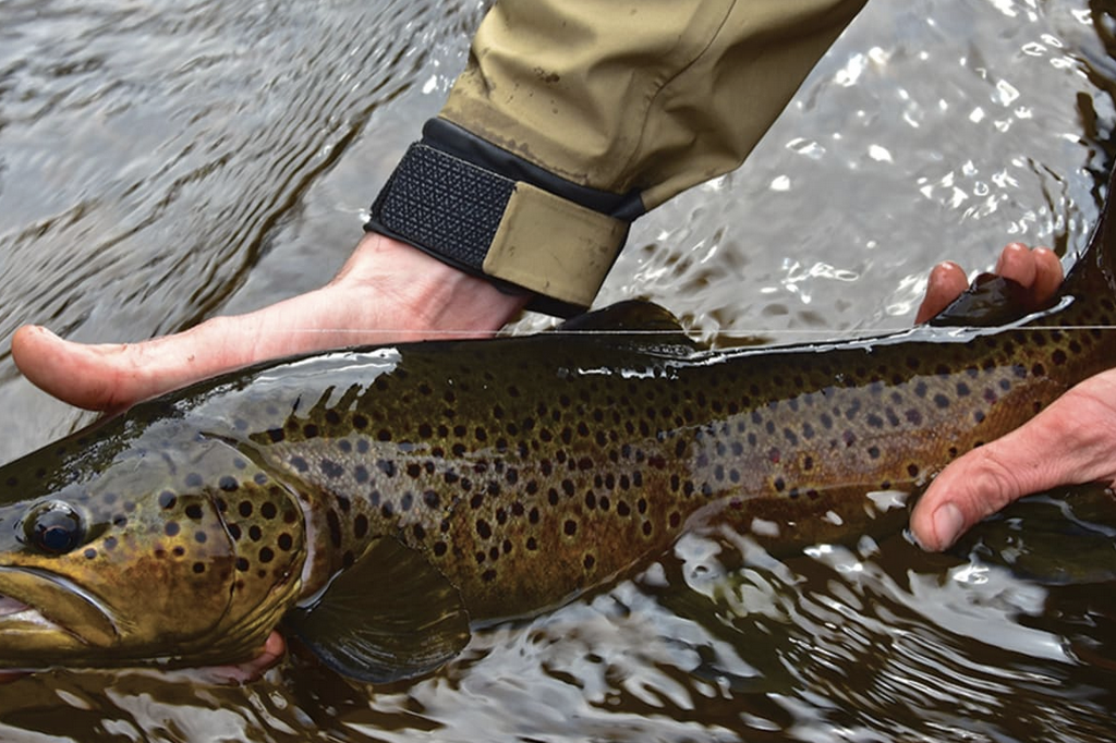 9 Reasons Why Lake Communities Practice Winter Drawdown