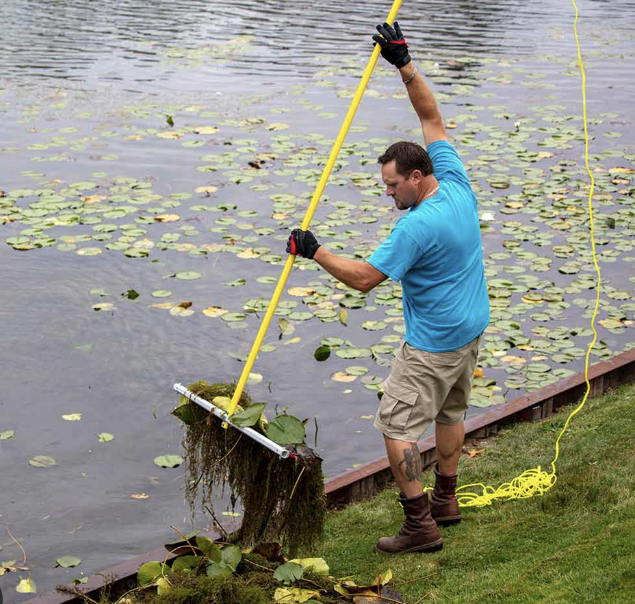 Aquatic Weeds